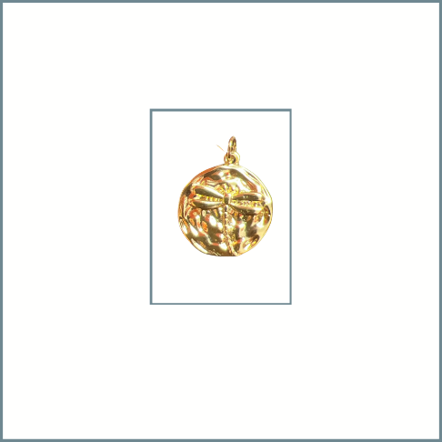 Dragonfly Coin Charm – Virginia Rice Jewelry Designs